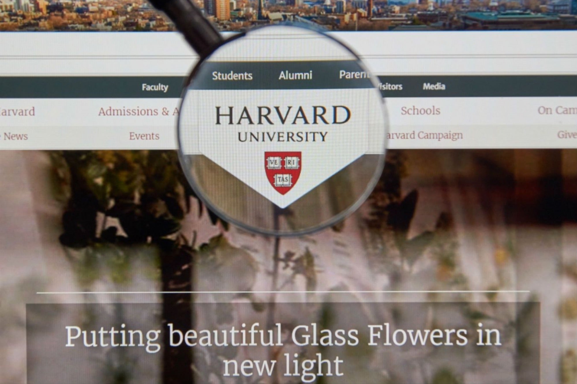 Cursos y becas que da Harvard en México - Emprendedor