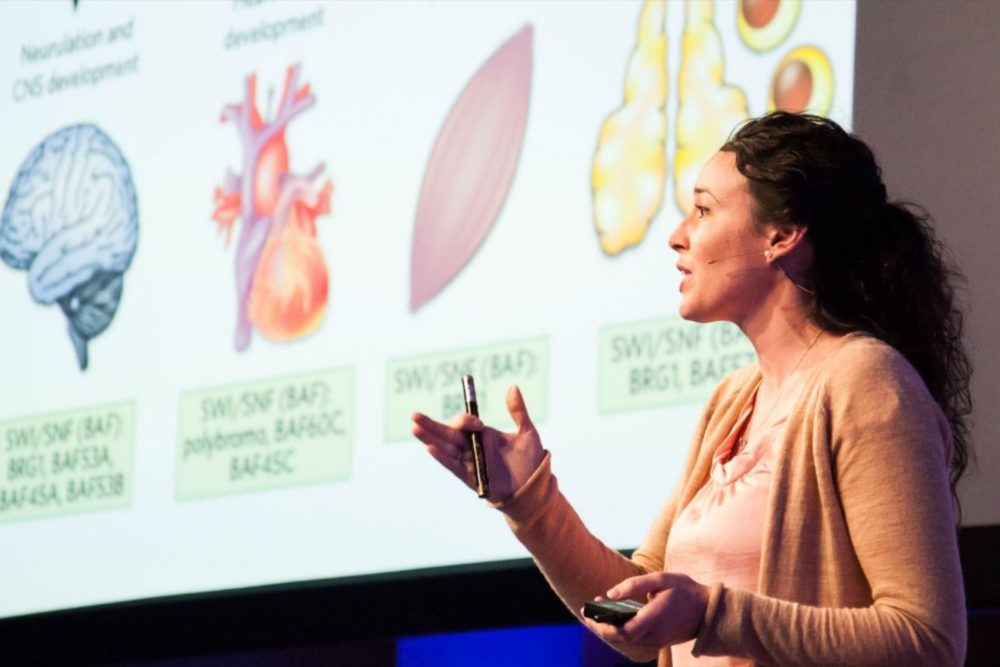 La universidad creada con apoyo de Google y la NASA que pretende salvar ...