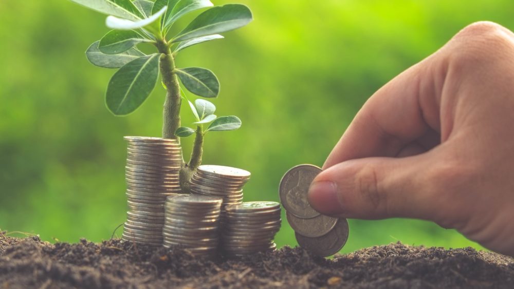 Qué es el capital semilla y el capital emprendedor - Emprendedor Qué es el capital semilla y el capital emprendedor - Emprendedor