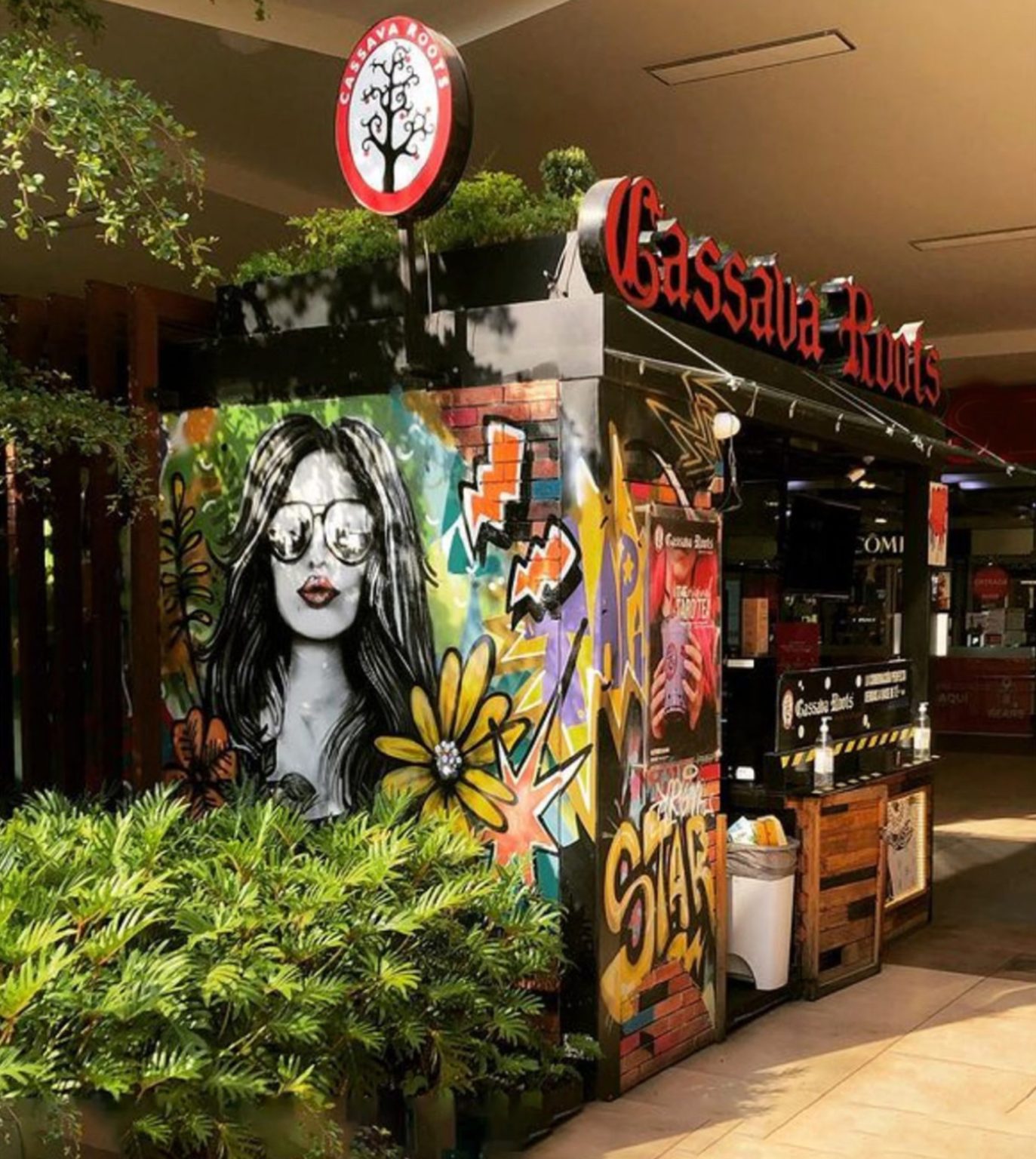 Romper con lo establecido: Cassava Roots - Emprendedor