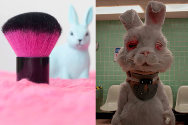 Brasil pone fin a las pruebas en animales en la industria cosmética ...