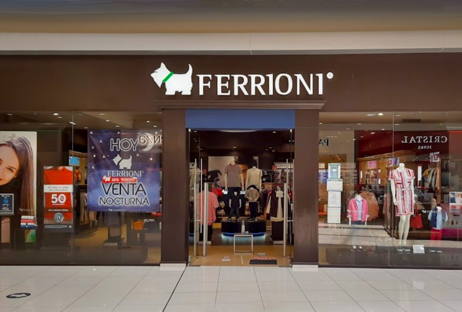 El misterioso perro del logo de Ferrioni: descubre por qué una marca ...