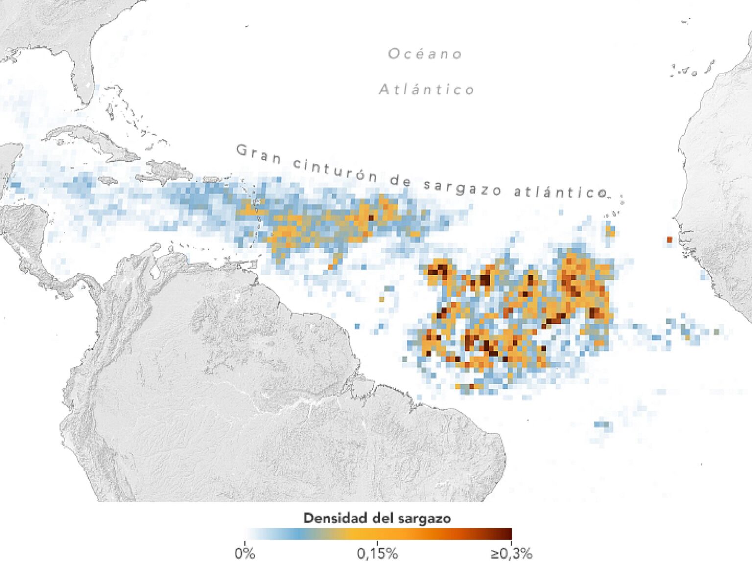Invasión de sargazo en México: la NASA informa de la mayor cantidad registrada en la historia ...
