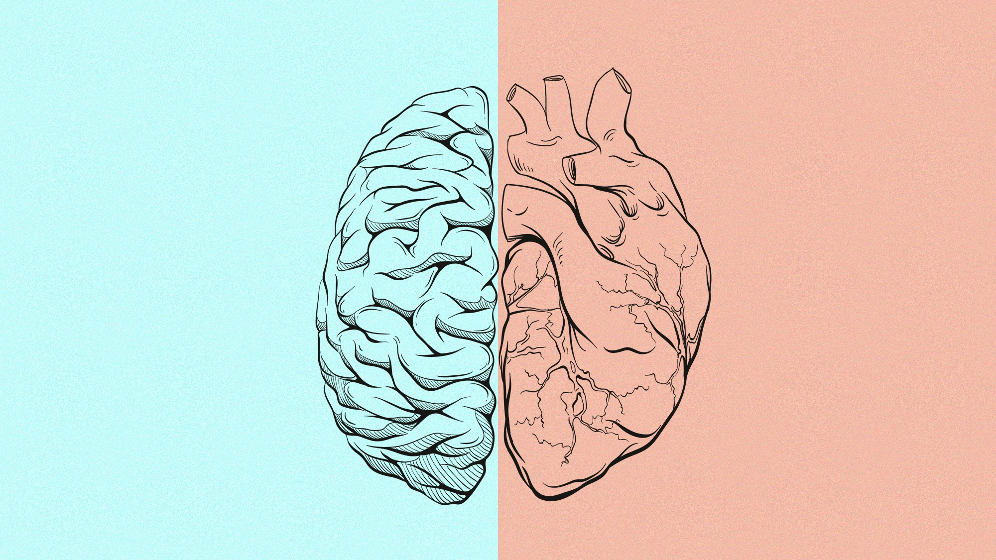 ¿Cómo presentarte ante inversionistas? Combina razón y corazón, la ...