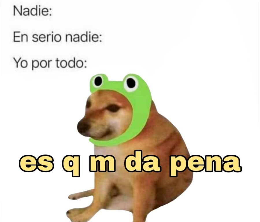 Fallece Cheems, el perrito de los memes - Emprendedor