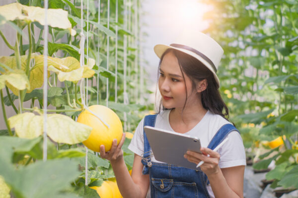 12 startups de Latam que están digitalizando el campo - Emprendedor