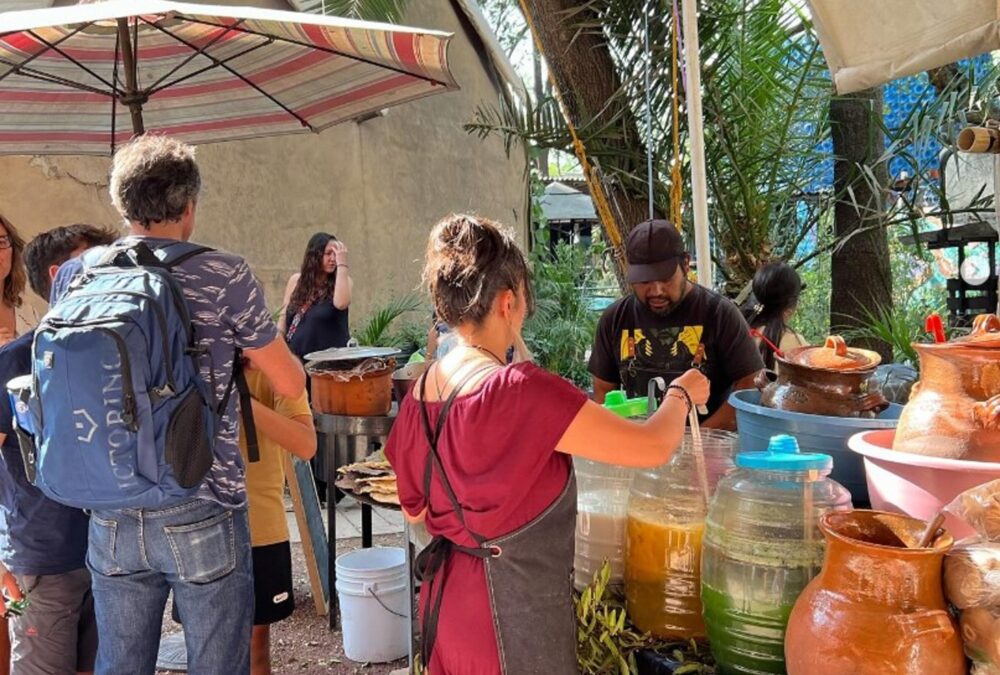 Huerto Roma Verde, el oásis de los productores orgánicos de la CDMX ...