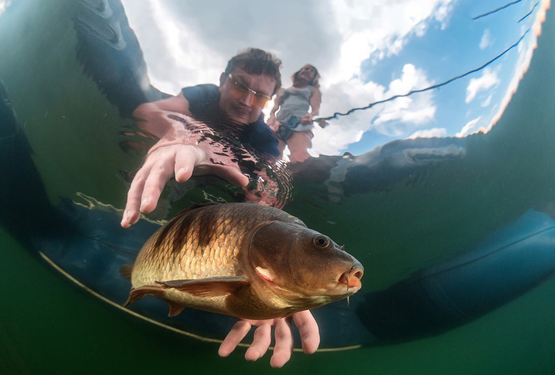 Revolucionando la pesca: Cómo Smart Fish detiene la sobreexplotación ...