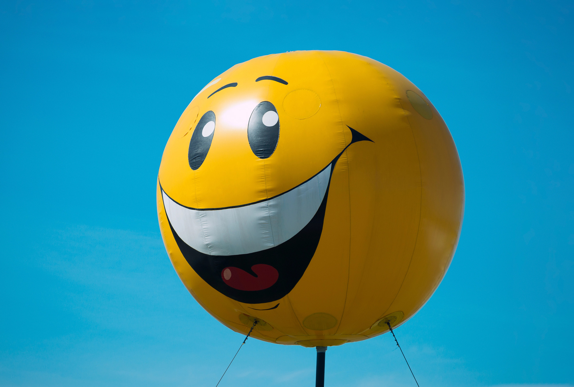 Yellow Day, ¿qué es, cuándo es y por qué se celebra? - Emprendedor