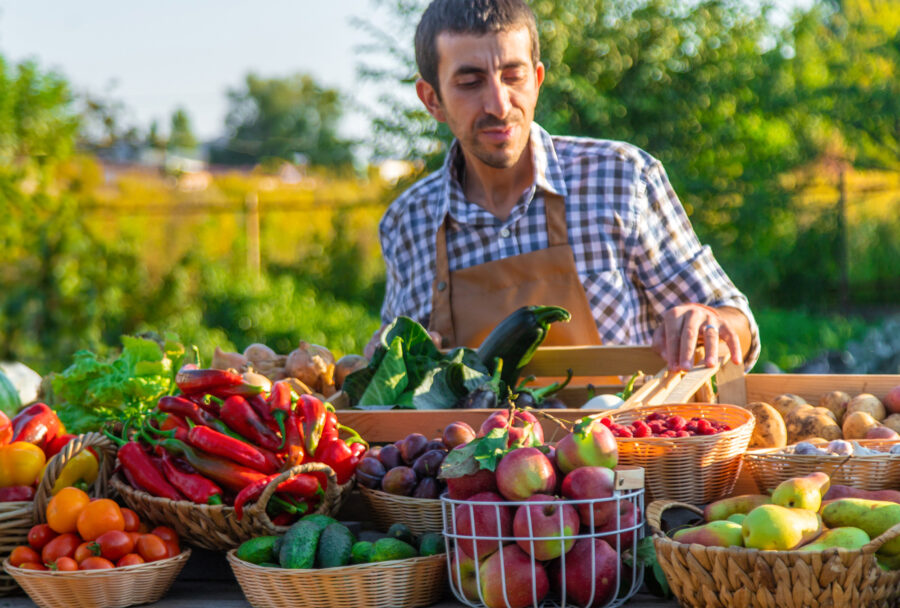 20 ideas de negocios para emprender en verano - Emprendedor