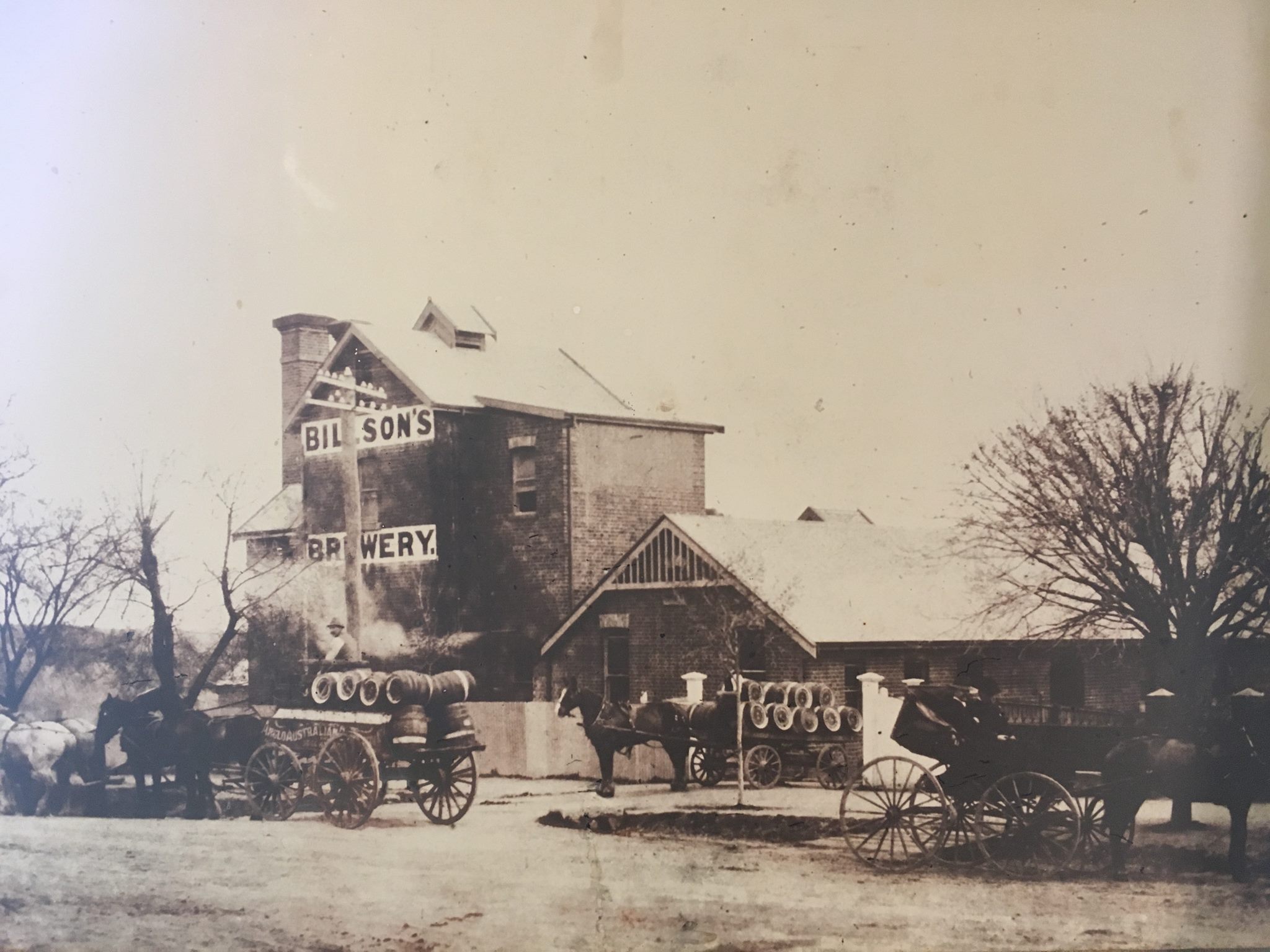 El fin de una era: cervecería australiana colapsa tras casi 160 años ...