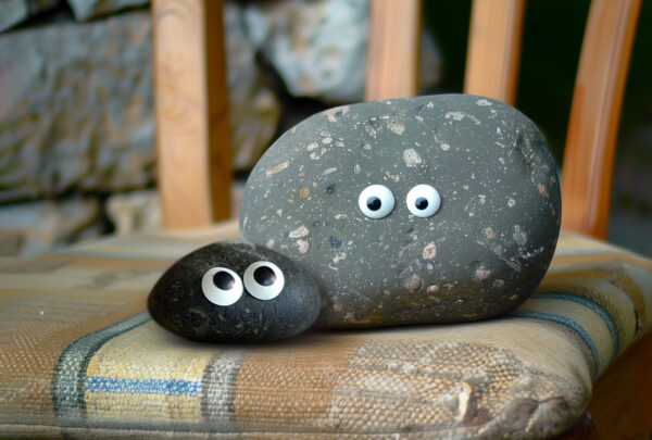 Pet Rock, la piedra que convirtió a un publicista desempleado en ...