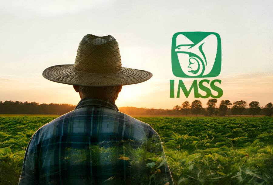 Más de 14 mil mexicanos en EU se afilian al IMSS: ¿Cómo tener Seguro ...