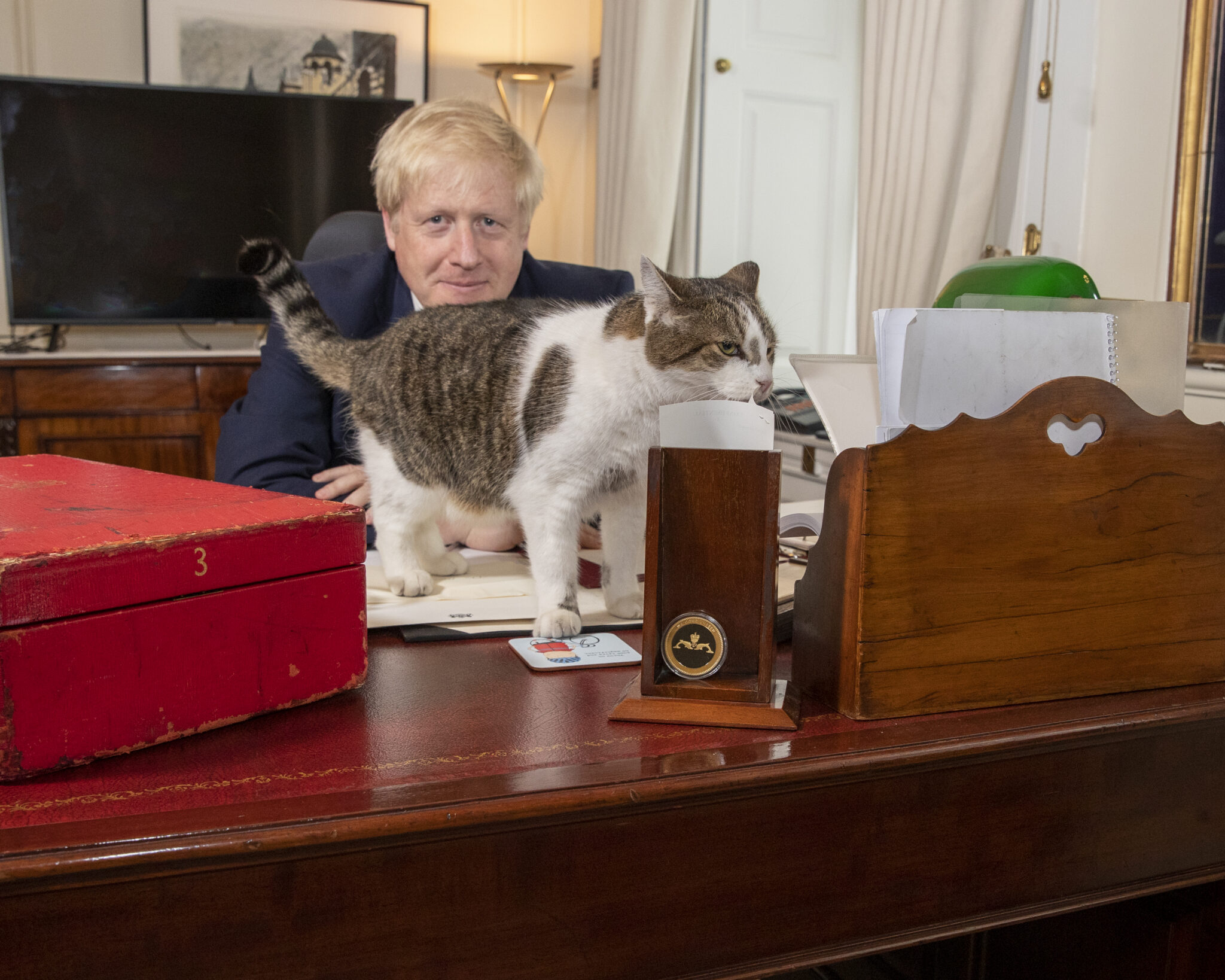 Larry, el gato que 'gobernó' a seis primeros ministros británicos ...