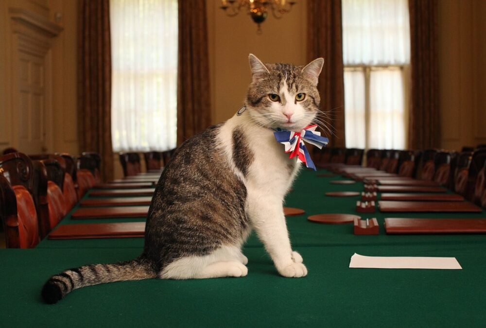 Larry, el gato que 'gobernó' a seis primeros ministros británicos ...