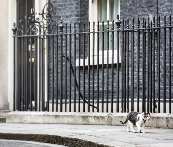 Larry, el gato que 'gobernó' a seis primeros ministros británicos ...
