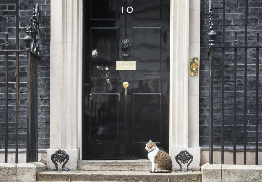 Larry, el gato que 'gobernó' a seis primeros ministros británicos ...